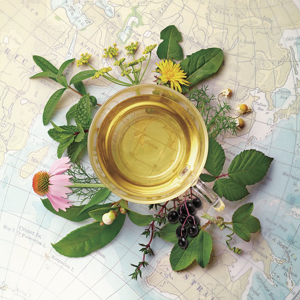 International Tea Day: What It Is and Ways to Celebrate, Sip by Sip ...